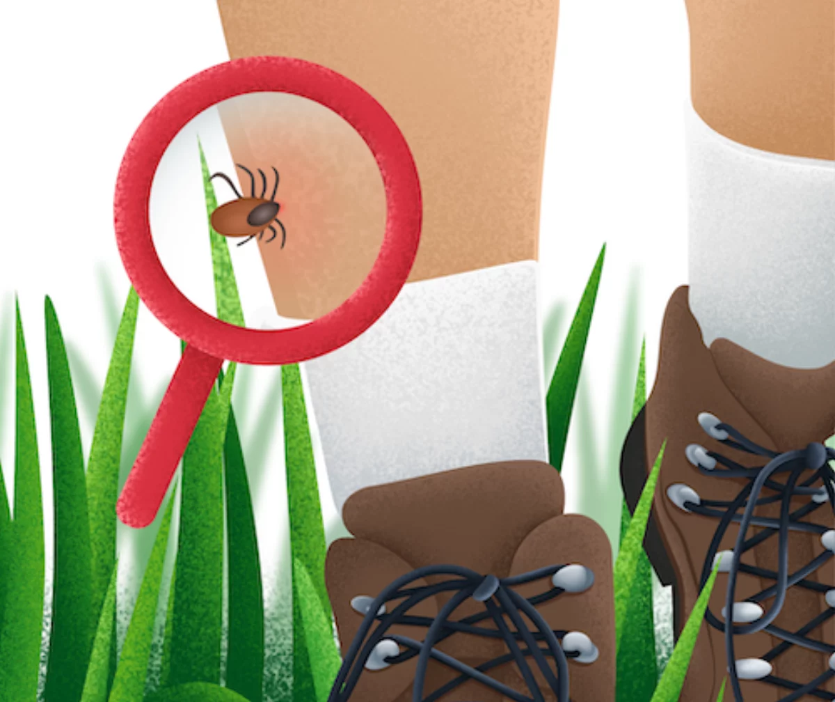 Article :Things to know about ticks.